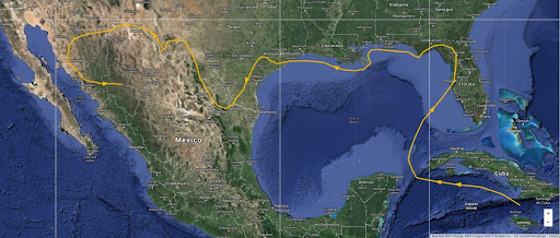 Itinerario de Cabeza de Vaca - Google Maps — Google Arts & Culture