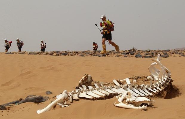 Marathon Des Sables Across the Sahara Desert | Amusing Planet