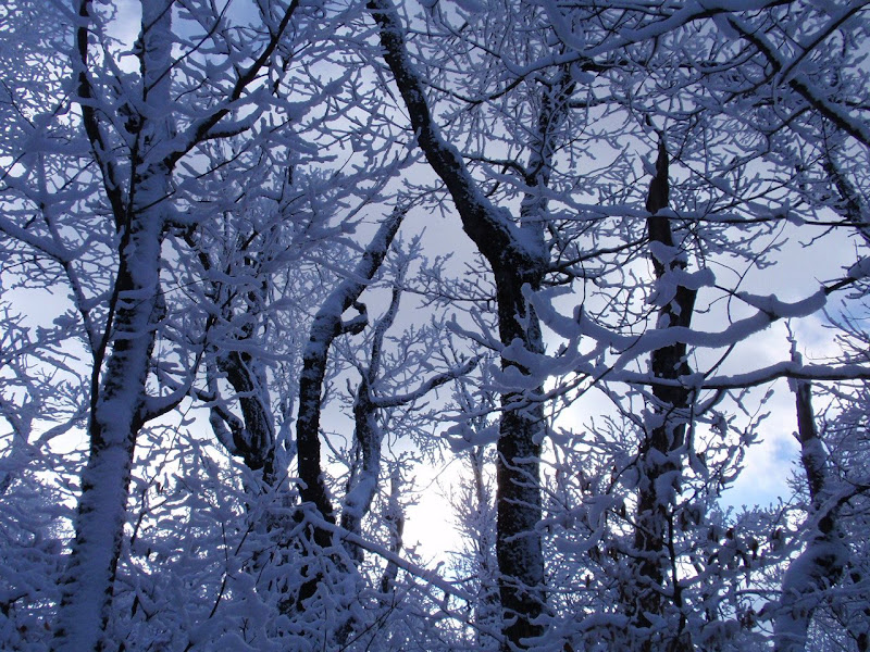 Picture report of Bearpen and Vly in Catskills in a soft snow | New ...