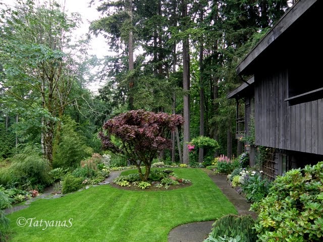 MySecretGarden: Enchanted Garden Of A Hosta Hybridizer
