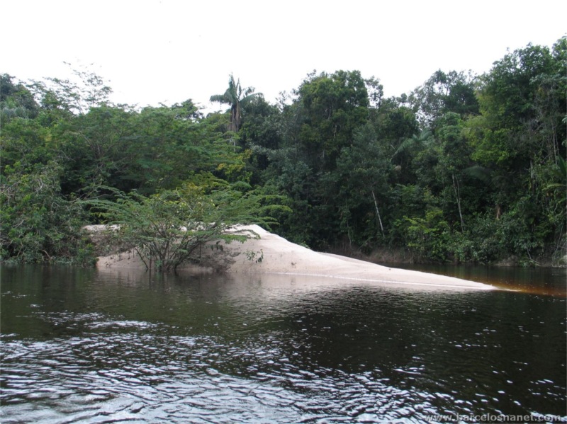 Fotos das praias de Barcelos, verdadeiro paraíso amazônico! - Blog do ...