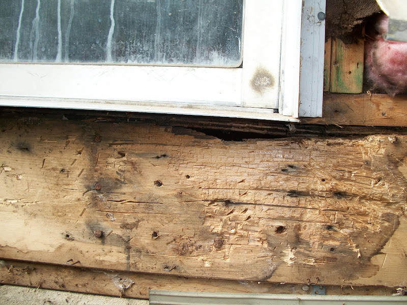 Rotten bottom plate and subfloor around exterior door | DIY Home ...