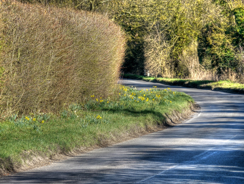 Keep Pushing Those Pedals: The Roman Road to Westley Bottom and back Part 1