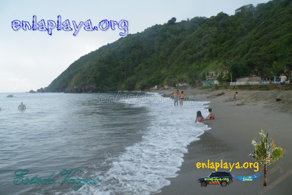 Playa Quebrada Seca V031
