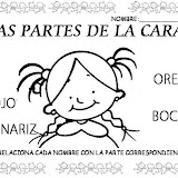 LA CARA PARTES DE LA CARA COLOREA DIBUJA Y APRENDE