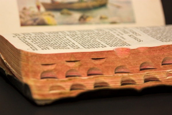 Planet Burdett: Granny's Bible