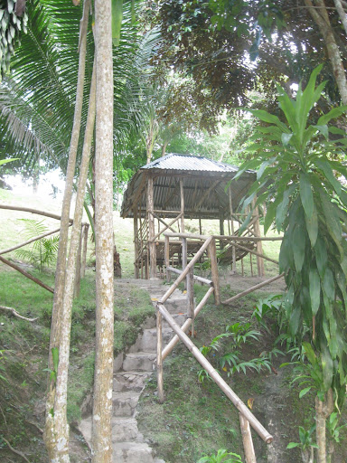 Cebu - My Home, My Paradise Photos and Pictures