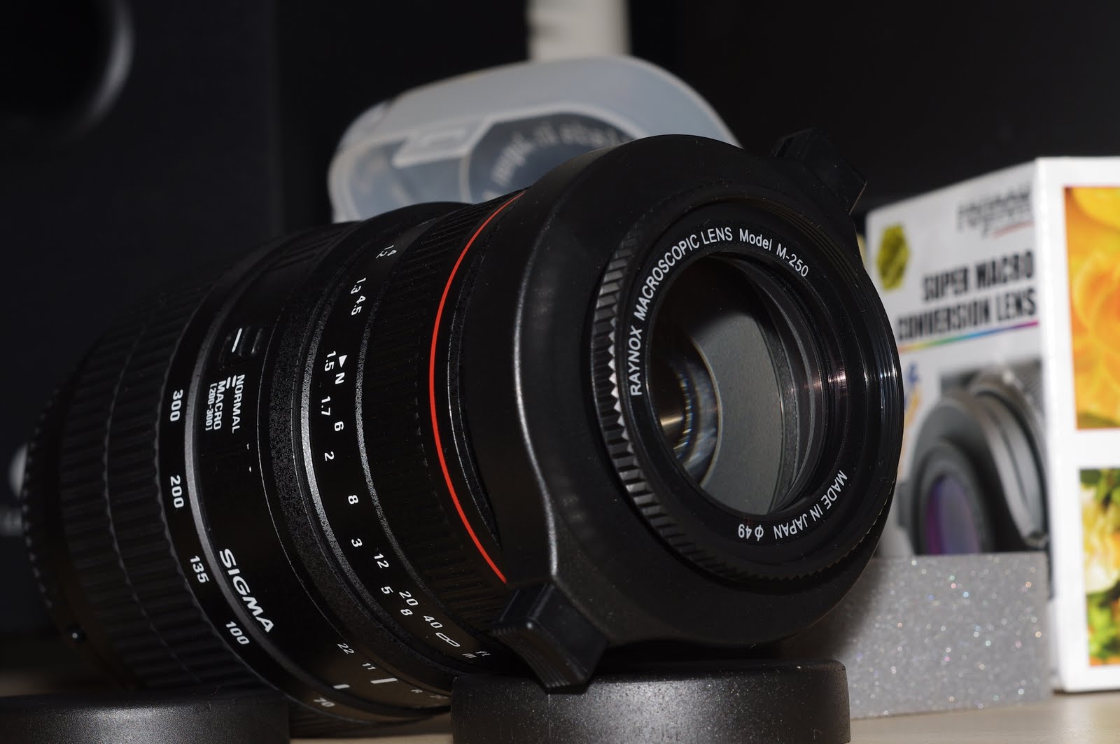 photo dialectic: Raynox DCR-250