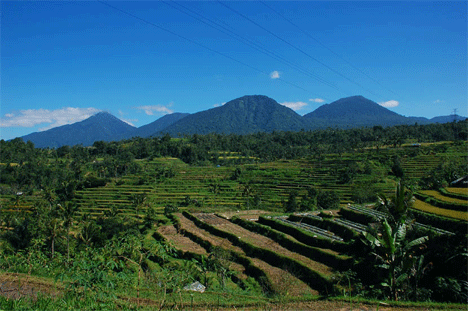 Green View at Pacung