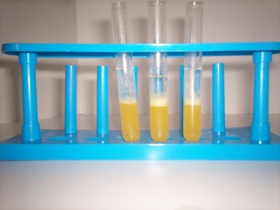 Kids in the Kitchen: DNA Extraction the easy way!