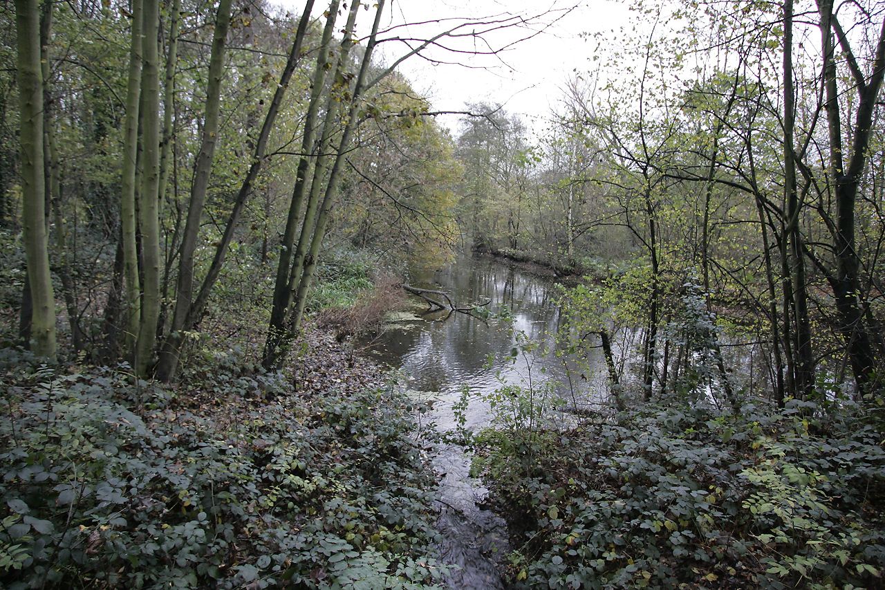 Wanstead Birder: Wanstead Park, part 1