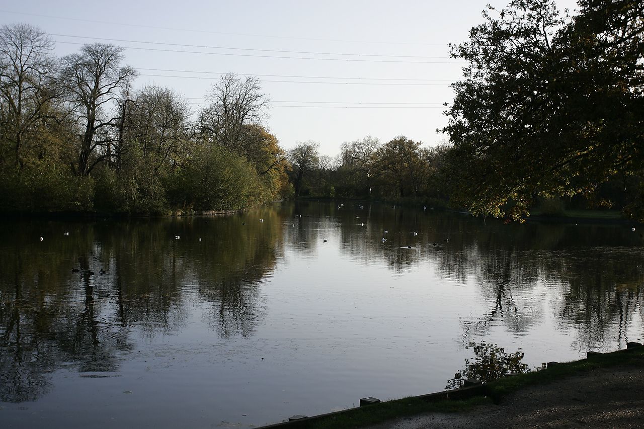 Wanstead Birder: Wanstead Park, part 2