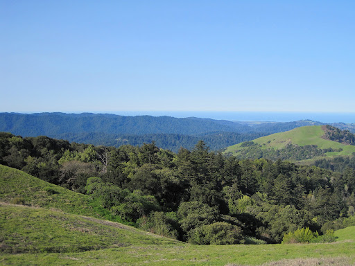 Portola Valley-Skyline Loop – Leor Pantilat's Adventures