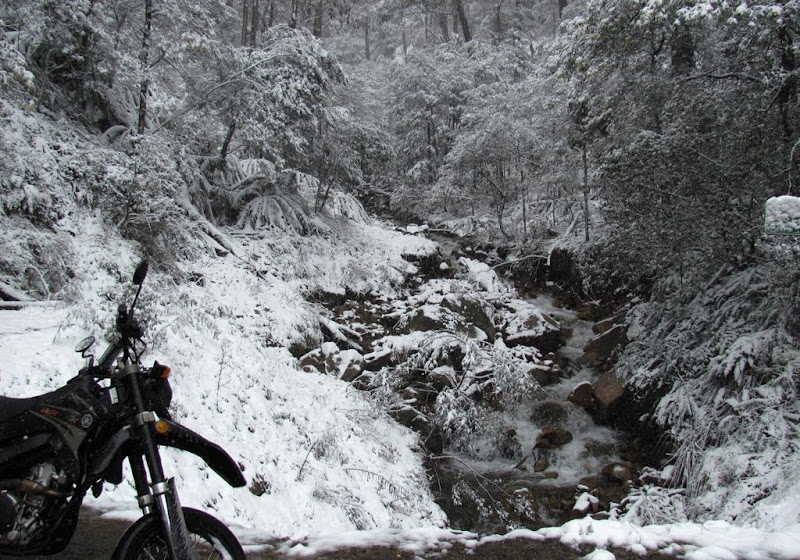 Surprise snow in spring... on a motard! 2 day trip through Vic high ...