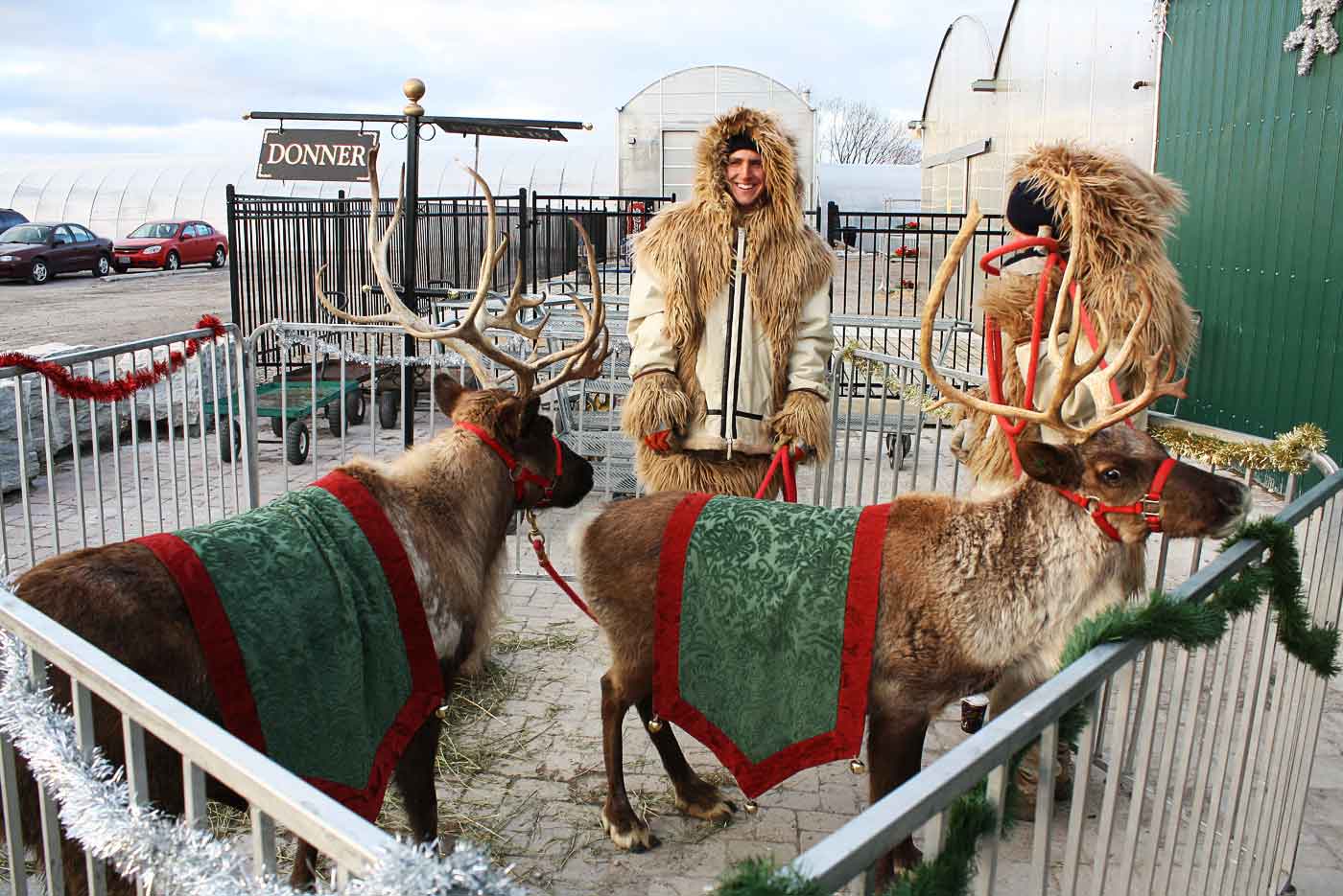 Eye Candy: Santa's Reindeer