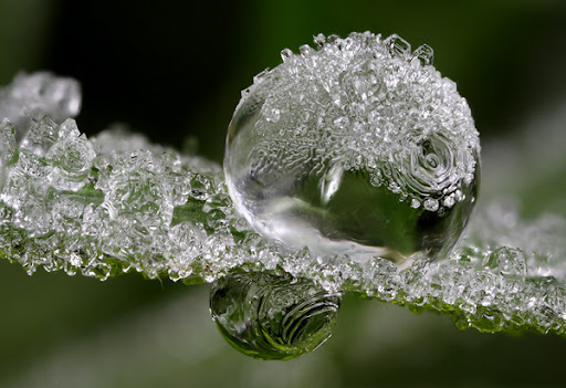 30 Breathtaking Examples Of Drops Photography