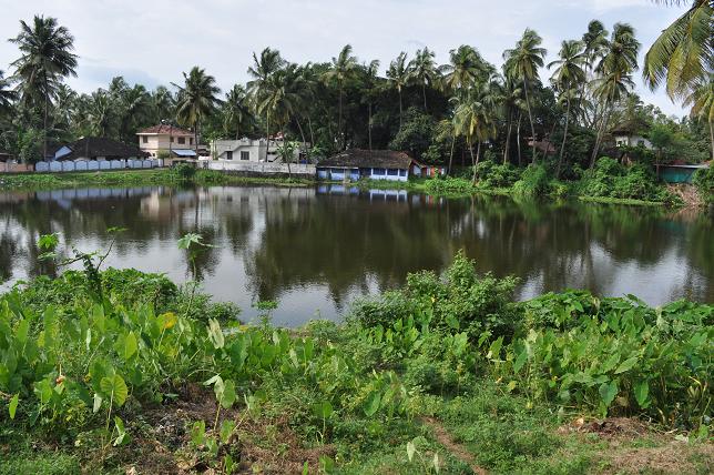 VADAKKANTHARA GRAMAM PALAKKAD: VADAKKANTHARA GRAMAM