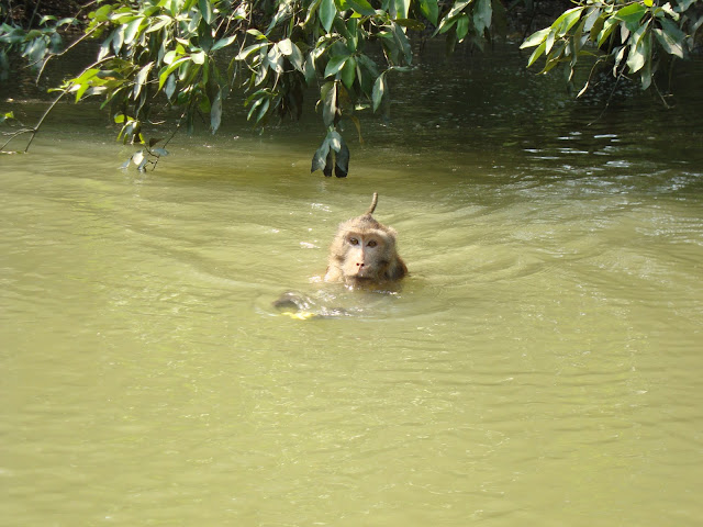 Ive got a feeling... that this could be one of those memories ...