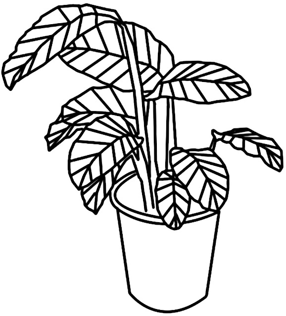 DIBUJOS DE VEGETALES PARA COLOREAR