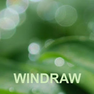 Unique photo editor ‐ Windraw - Latest version 2.4 for Android App ...
