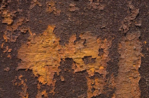 putrefy | Vocabulary