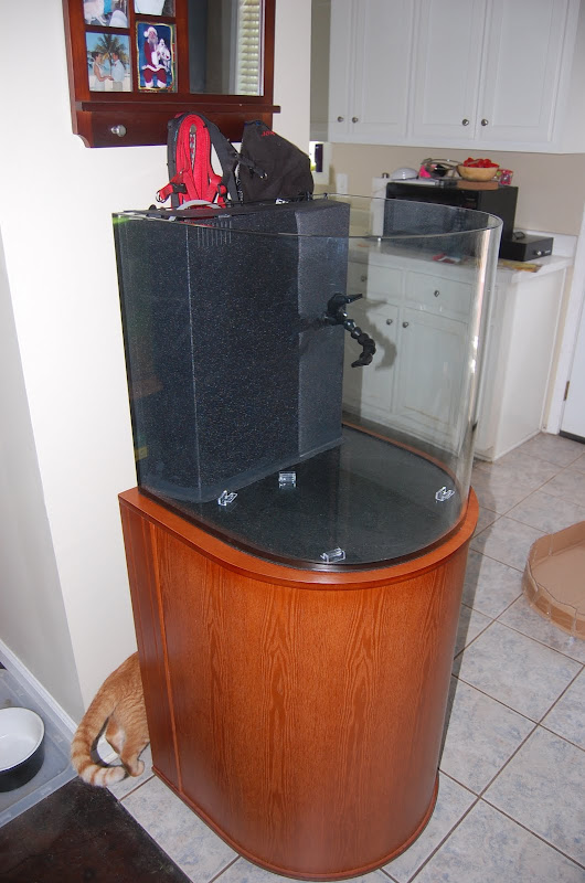 25 gallon Cardiff reef build | Aquarium Advice Forum Community