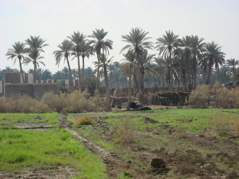 Karbala Nature - from the river to the desert | SkyscraperCity Forum