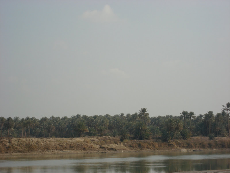 Karbala Nature - from the river to the desert | SkyscraperCity Forum