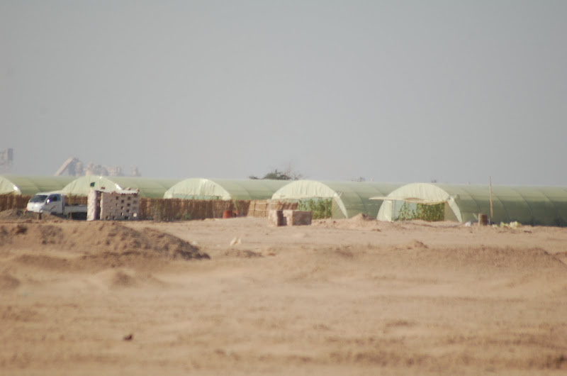Karbala Nature - from the river to the desert | SkyscraperCity Forum