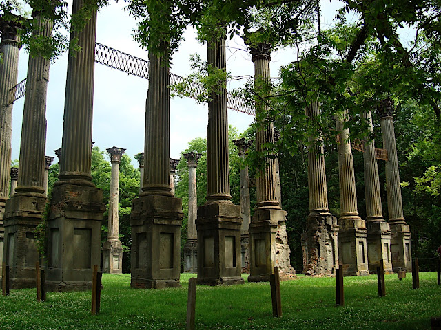 Windsor Ruins, Claiborne County, MS | forgottenmississippi