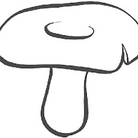 DIBUJOS DE SETAS PARA COLOREAR