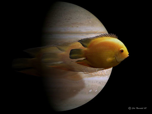papeis de parede e imagens: Jupiter & Fish
