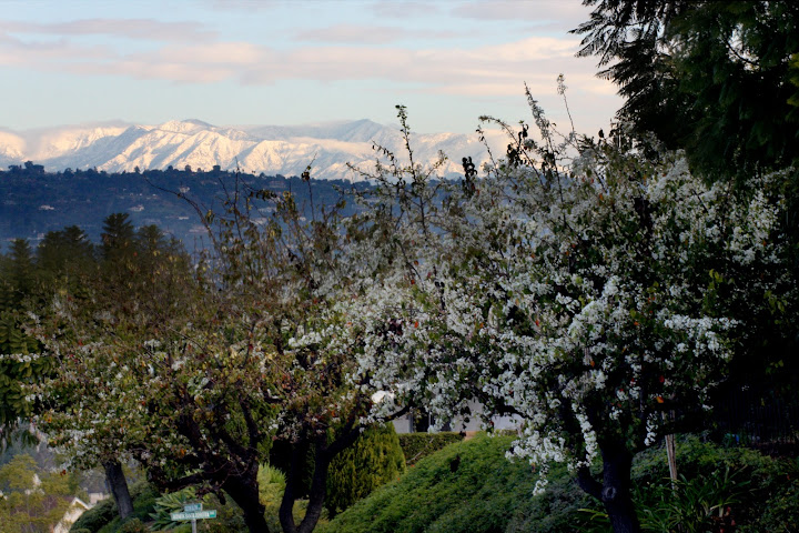 You Can Tell Spring Is Here - Just Look At The Snow in This Picture