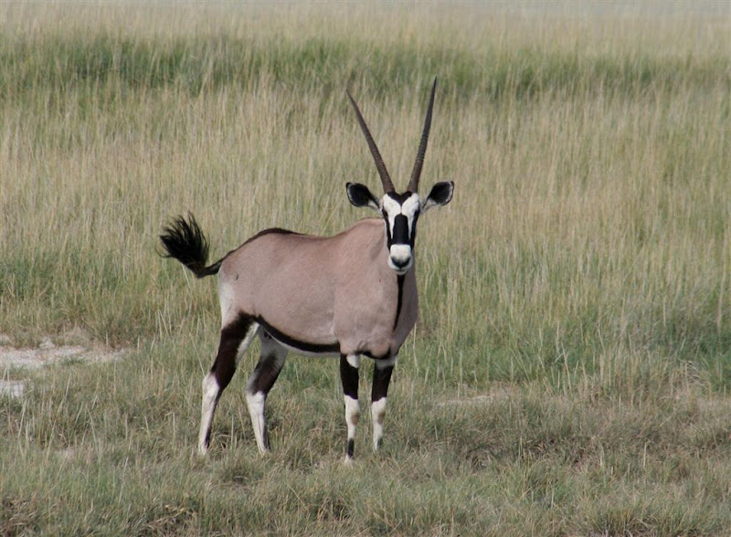 OneStonedCrow: A Few Bucks ...