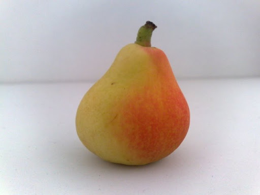 sheep*nation: Paradise Pear