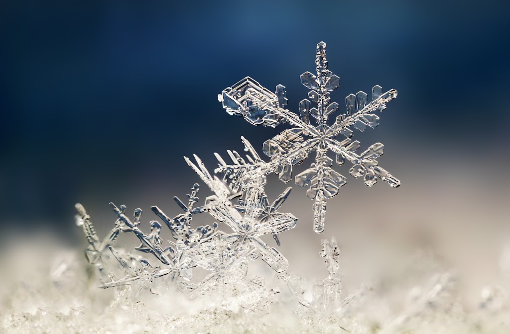 Photo Contest: Snowflakes | Pixoto
