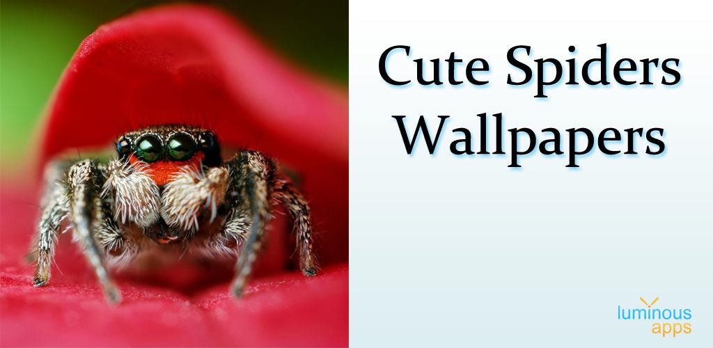 Cute Spiders Wallpapers - Latest version 2.0 for Android App ...