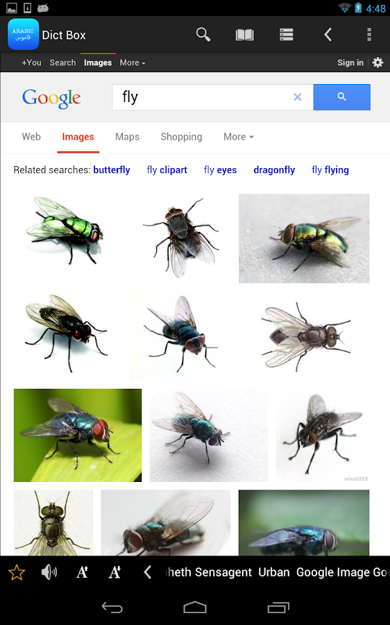 English Arabic Dictionary Box - Android Apps on Google Play