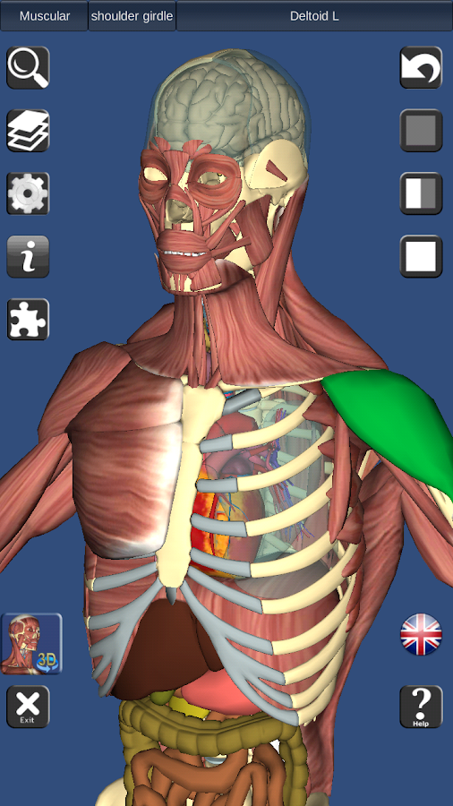 3D Bones and Organs (Anatomy) – Android-Apps auf Google Play