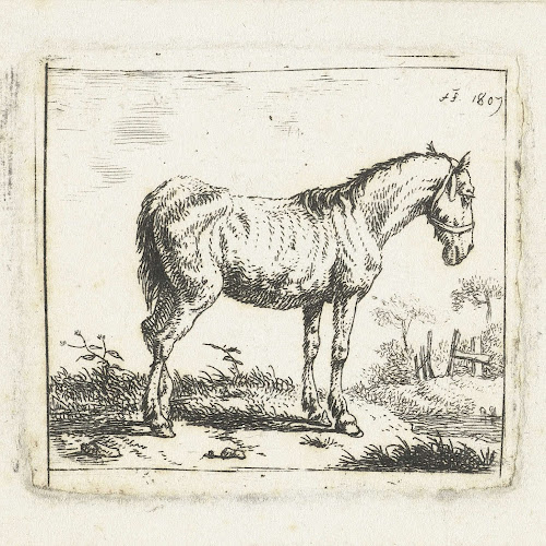 Mager paard, Frédéric Théodore Faber, 1807 - Rijksmuseum