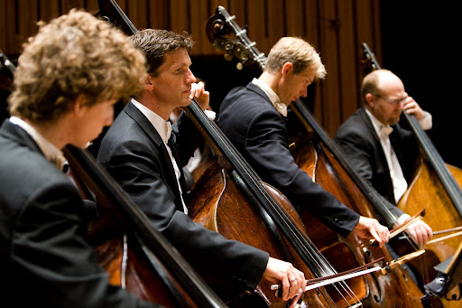 Sydney Symphony Orchestra double bass players - Brendan Read — Google ...