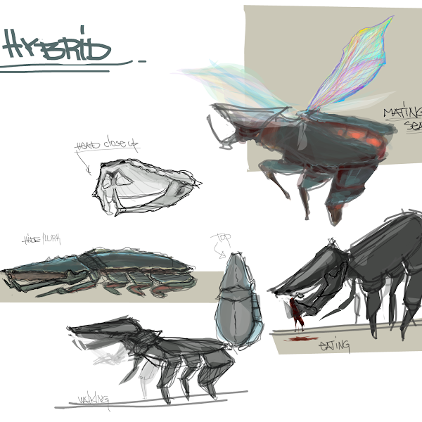 Hybrid » drawings » SketchPort