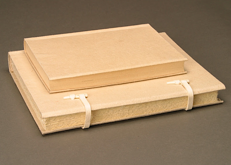 Paper Case | Lili's Bookbinding Blog