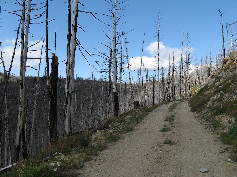 Seeing Ghosts - Washington Ghost Towns | Adventure Rider