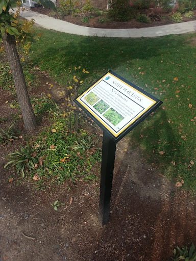 Portal – Ingress Intel