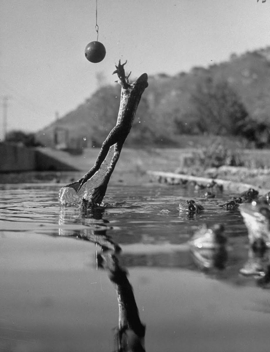 Edward Clark — Google Arts & Culture