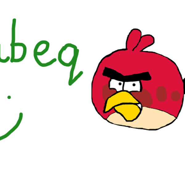 Angry Birds Drawings Sketchport 