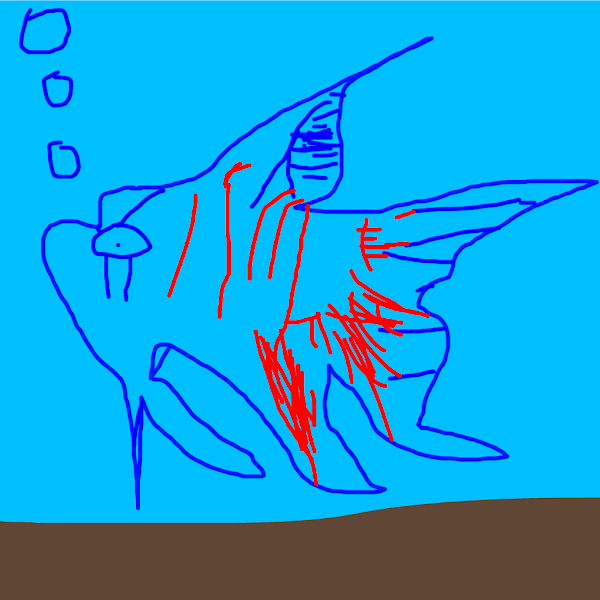 A Magical Underwater Brightly Angelfish » drawings » SketchPort