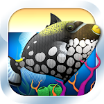 Aquarium I.D. PRO - Google Play Store - US - Category Rankings, Keyword ...
