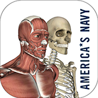 「Anatomy Study Guide」 - Androidアプリ | APPLION
